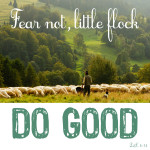 Fear not, little flock – Jessica Poe